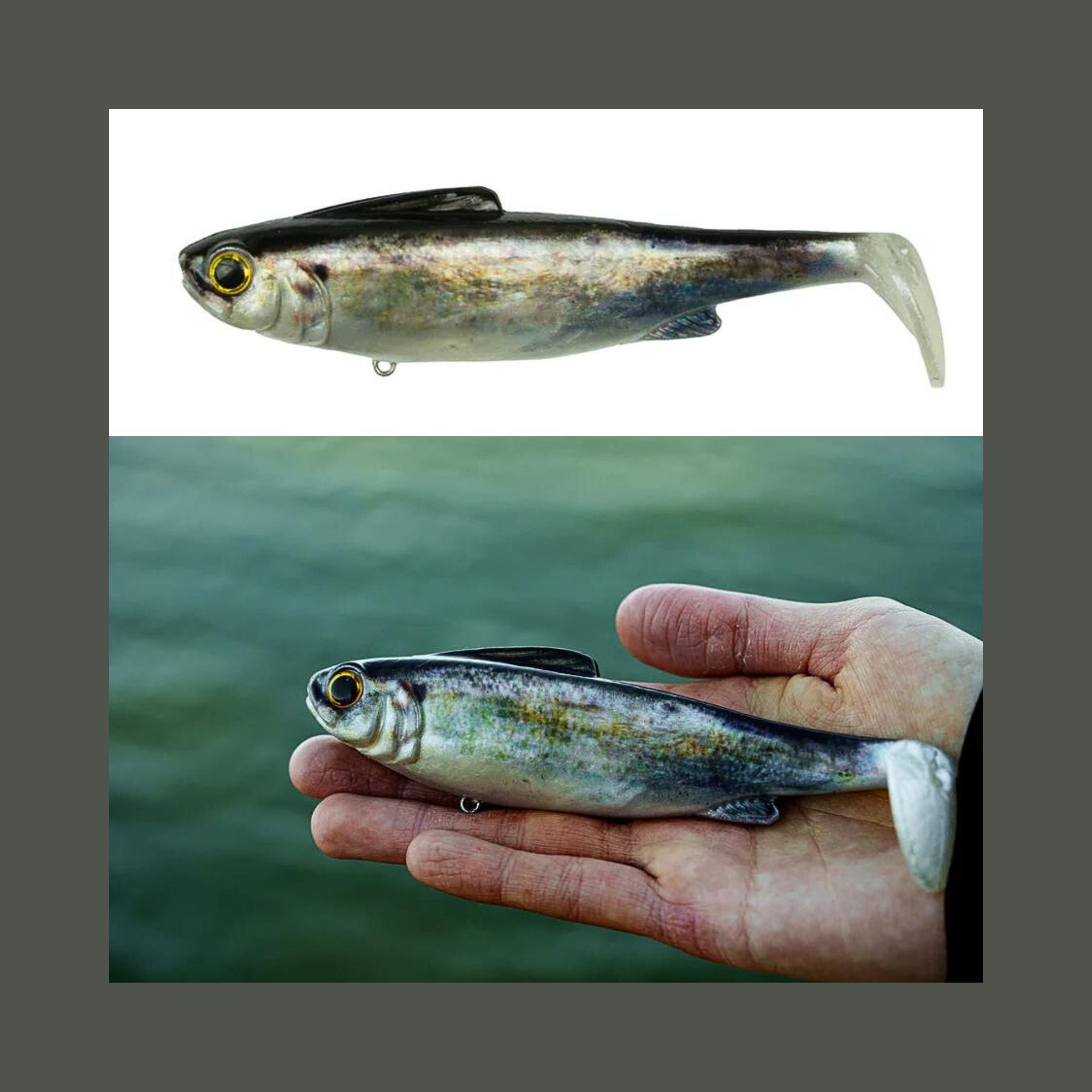 6th Sense Hangover Swimbait | Ben Milliken | Lures | Fishing Store ...